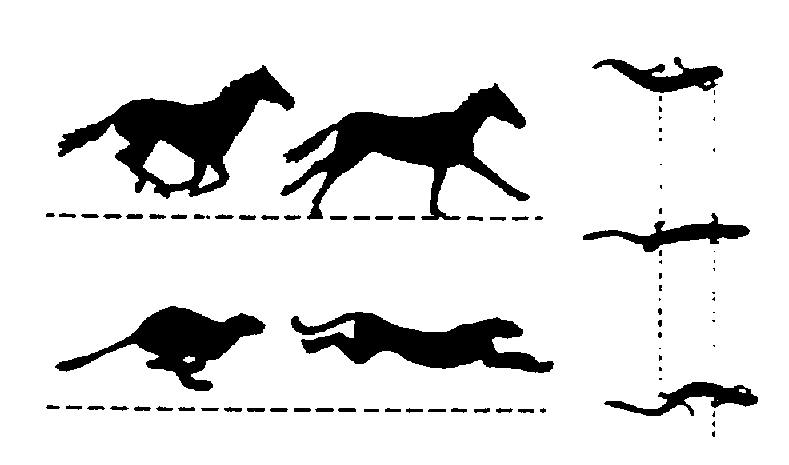 e f e l d - Dr. Robert J. Burgess