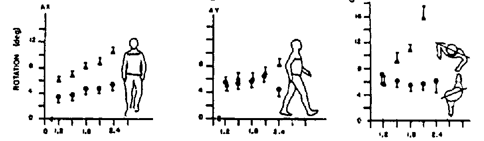 e f e l d - Dr. Robert J. Burgess